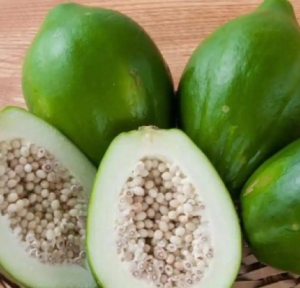 Raw Papaya – Organic Agro India